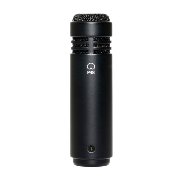 LEWITT LCT 040 MATCH CONDENSER MICROPHONE – Premium Lewitt Microphones ...